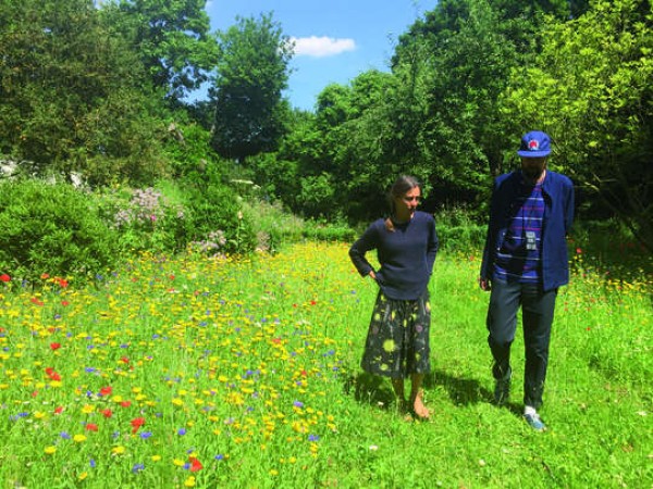 Untitled – Alice Gallery